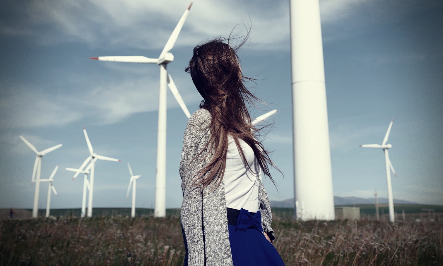 Rethinking the Renewable Energy Thing - WIND CONCERNS